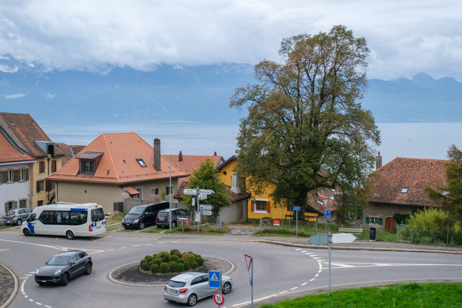 Lutry – Quiproquo autour du tilleul protégé de Corsy – Le Courrier