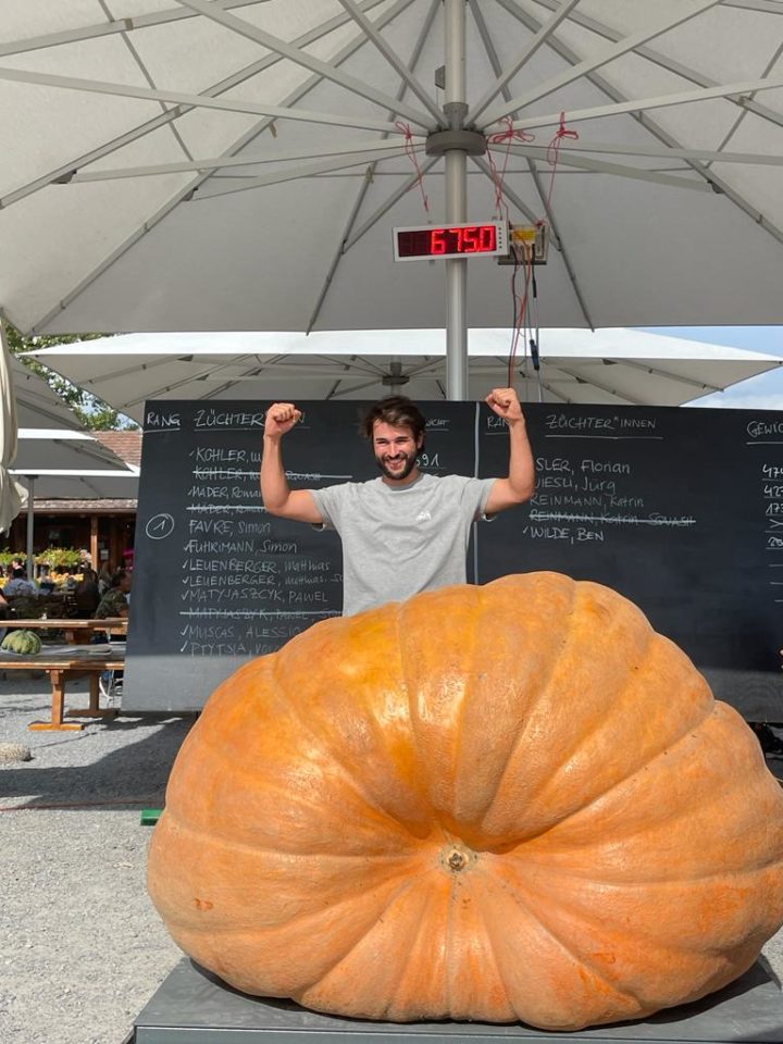 La plus grosse citrouille est belmontoise – Le Courrier